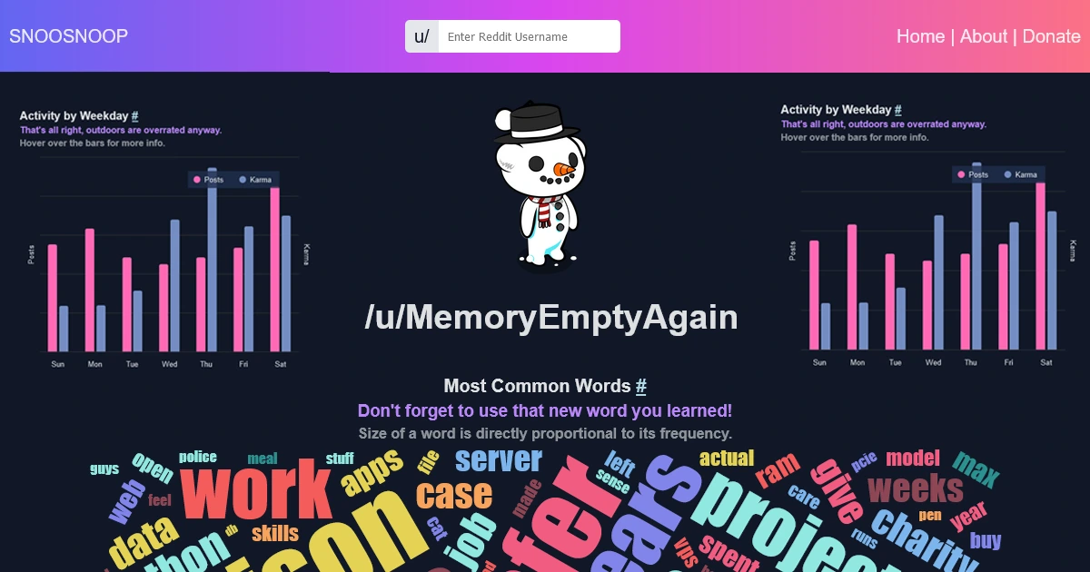 SnooSnoop Analysis for Saber128